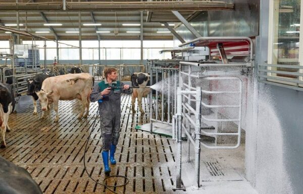 Cleaning & disinfection - Dairy - Schippers USA