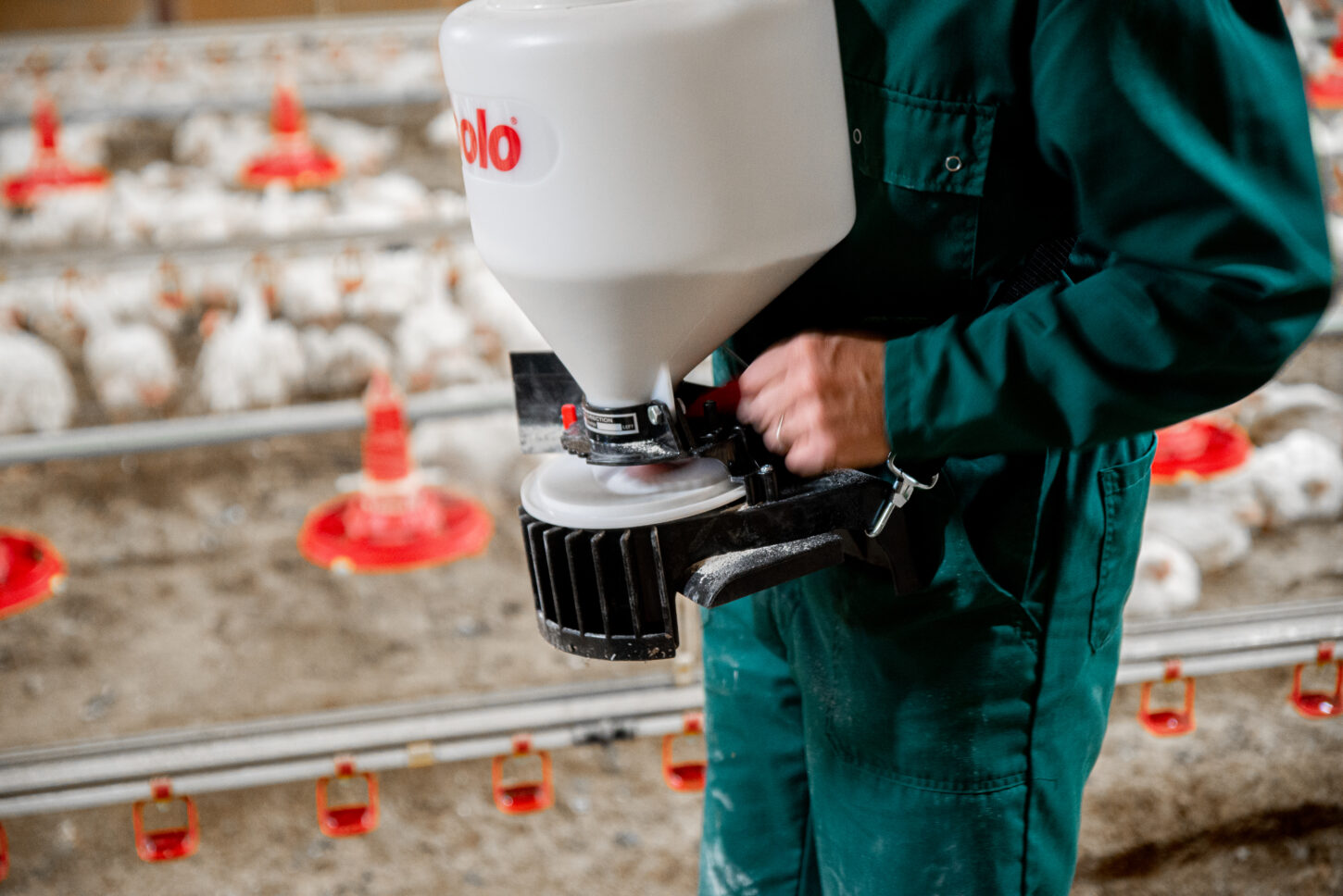 Dry living environment - Poultry - Schippers USA